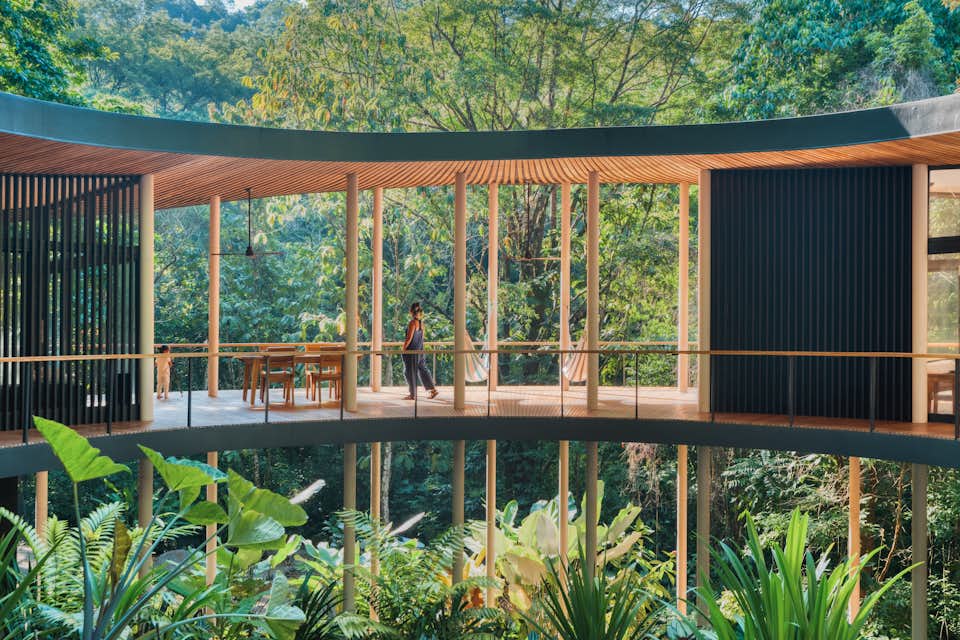 Photo 12 of 16 in Macaws and Howler Monkeys Are the Neighbors at This ...