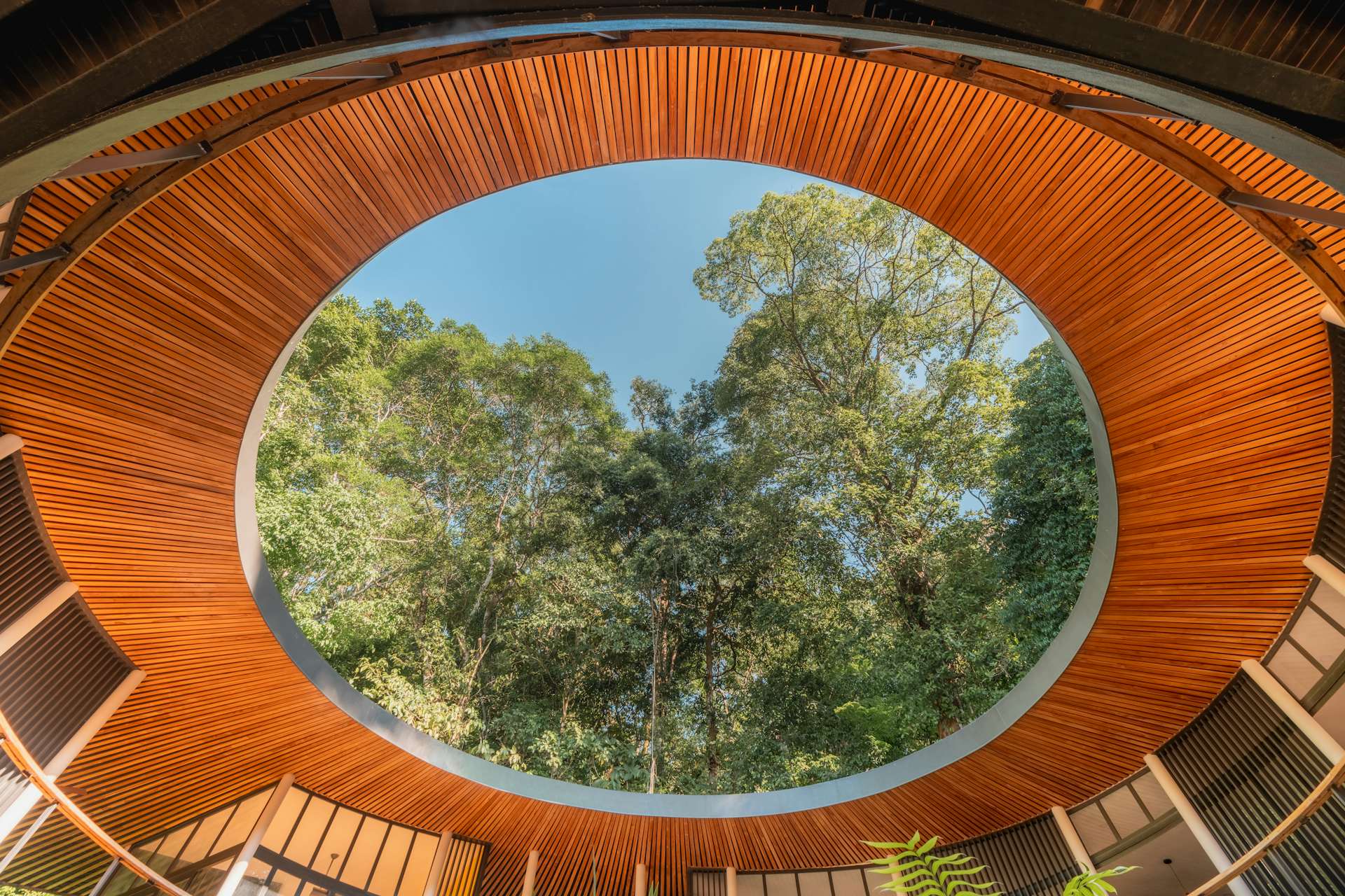 Photo 5 of 16 in Macaws and Howler Monkeys Are the Neighbors at This ...