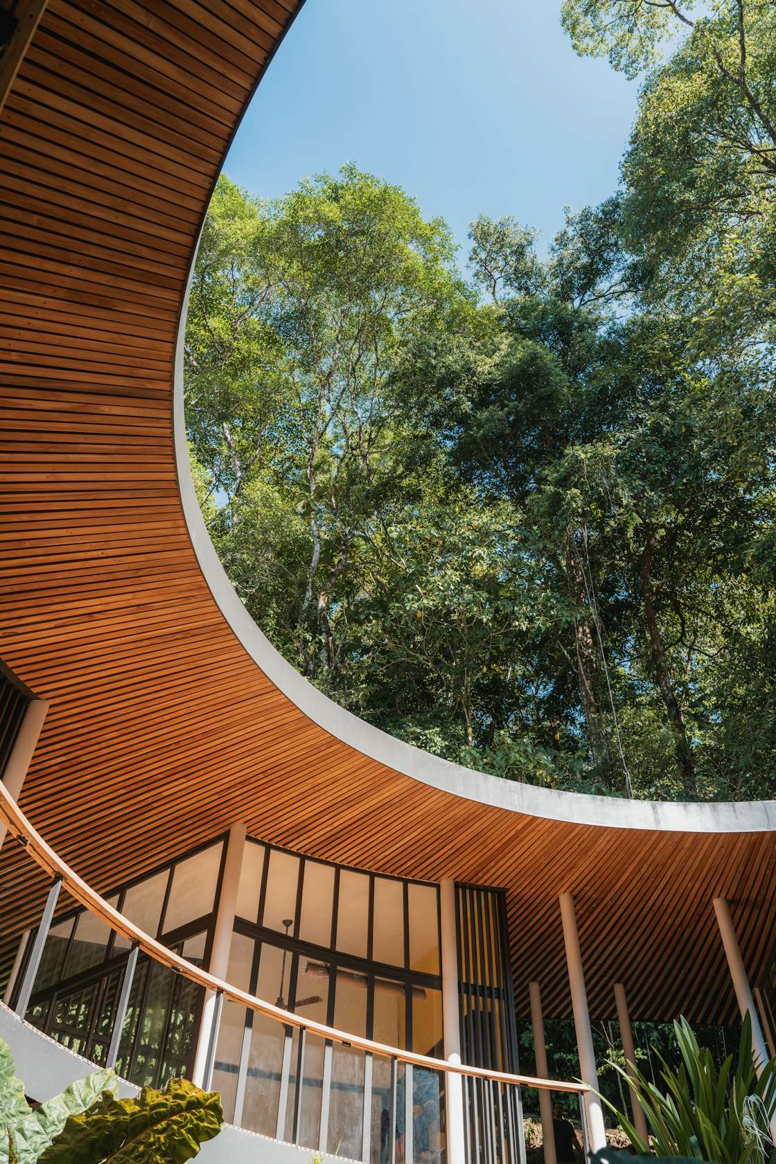 Photo 16 of 16 in Macaws and Howler Monkeys Are the Neighbors at This ...