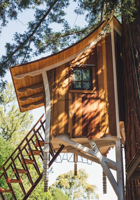 Photo 4 of 8 in If You Can Dream It, This Tiny Tree House Maker Can ...