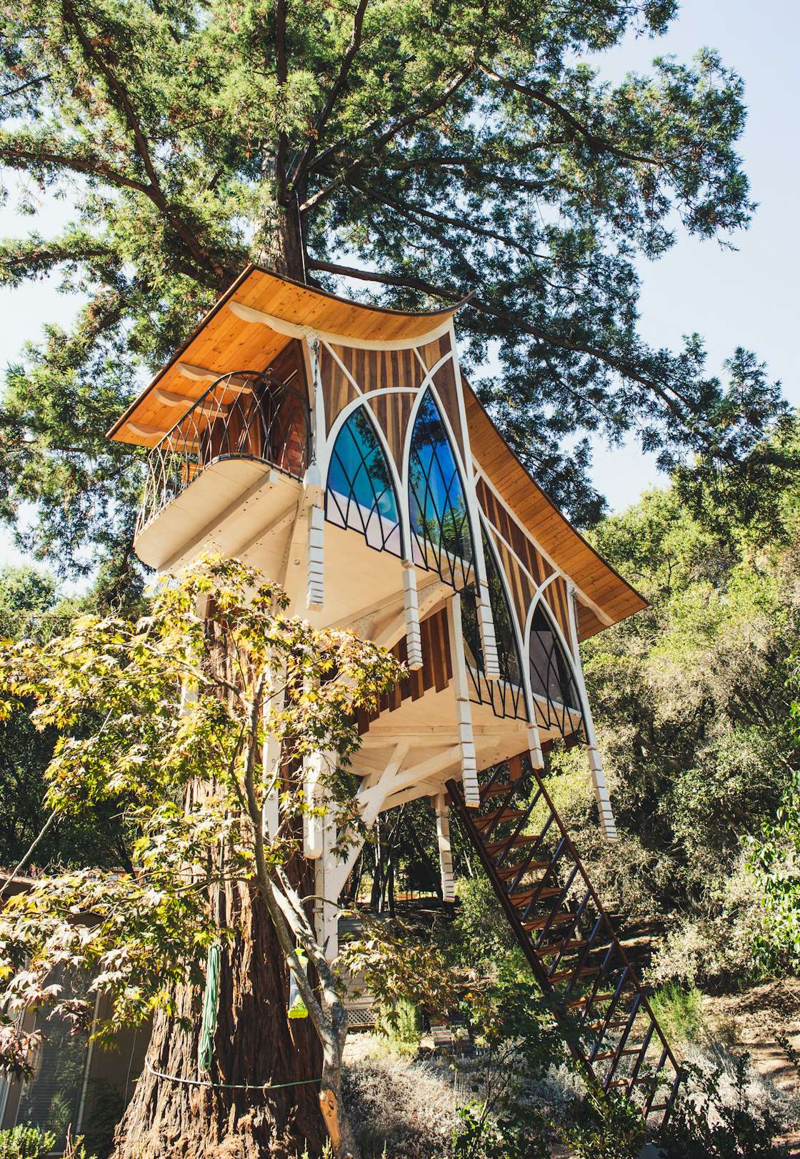 Photo 1 of 8 in If You Can Dream It, This Tiny Tree House Maker Can ...