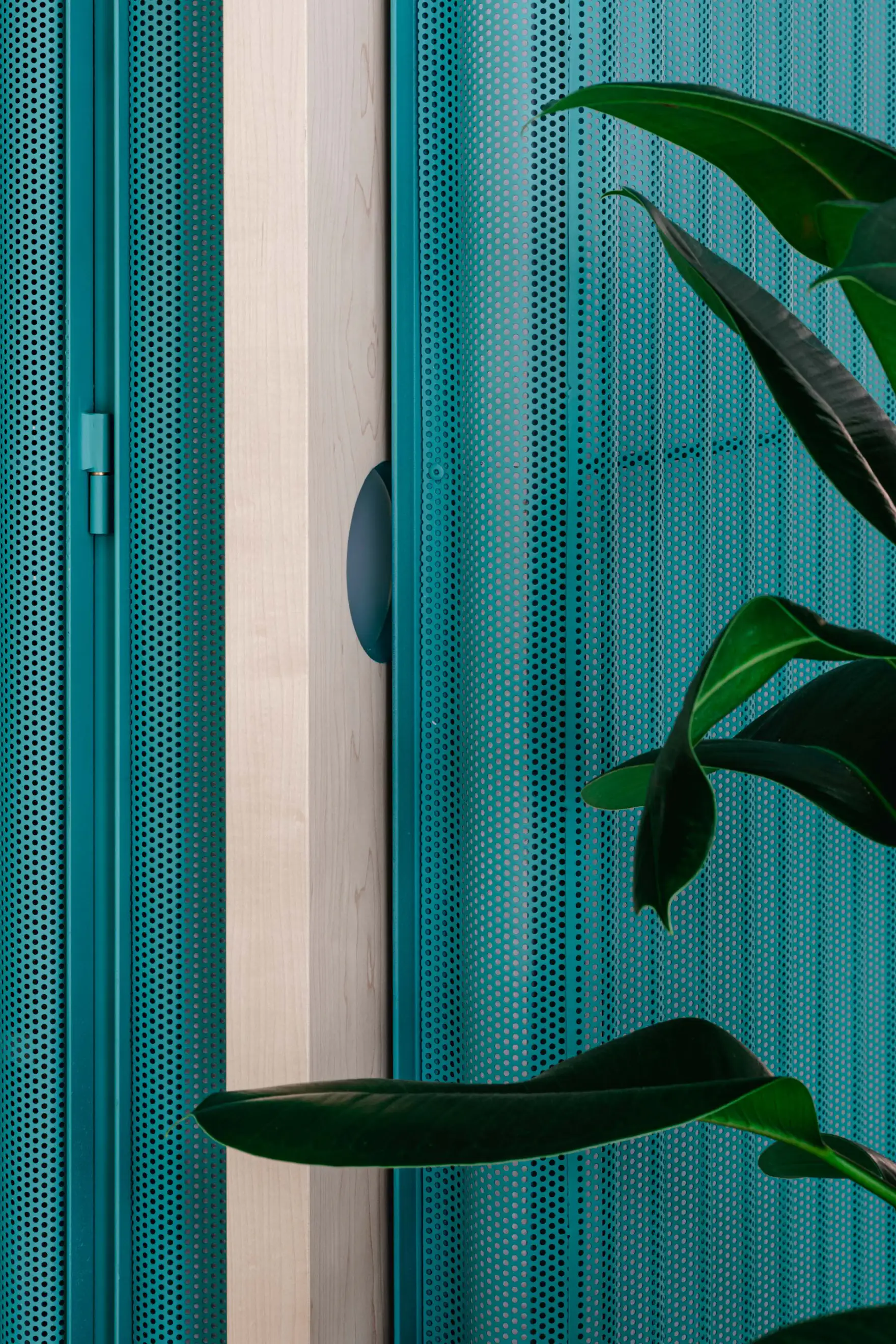 Photo 13 of 13 in A Perforated Metal Box Hides the Bathroom in This ...