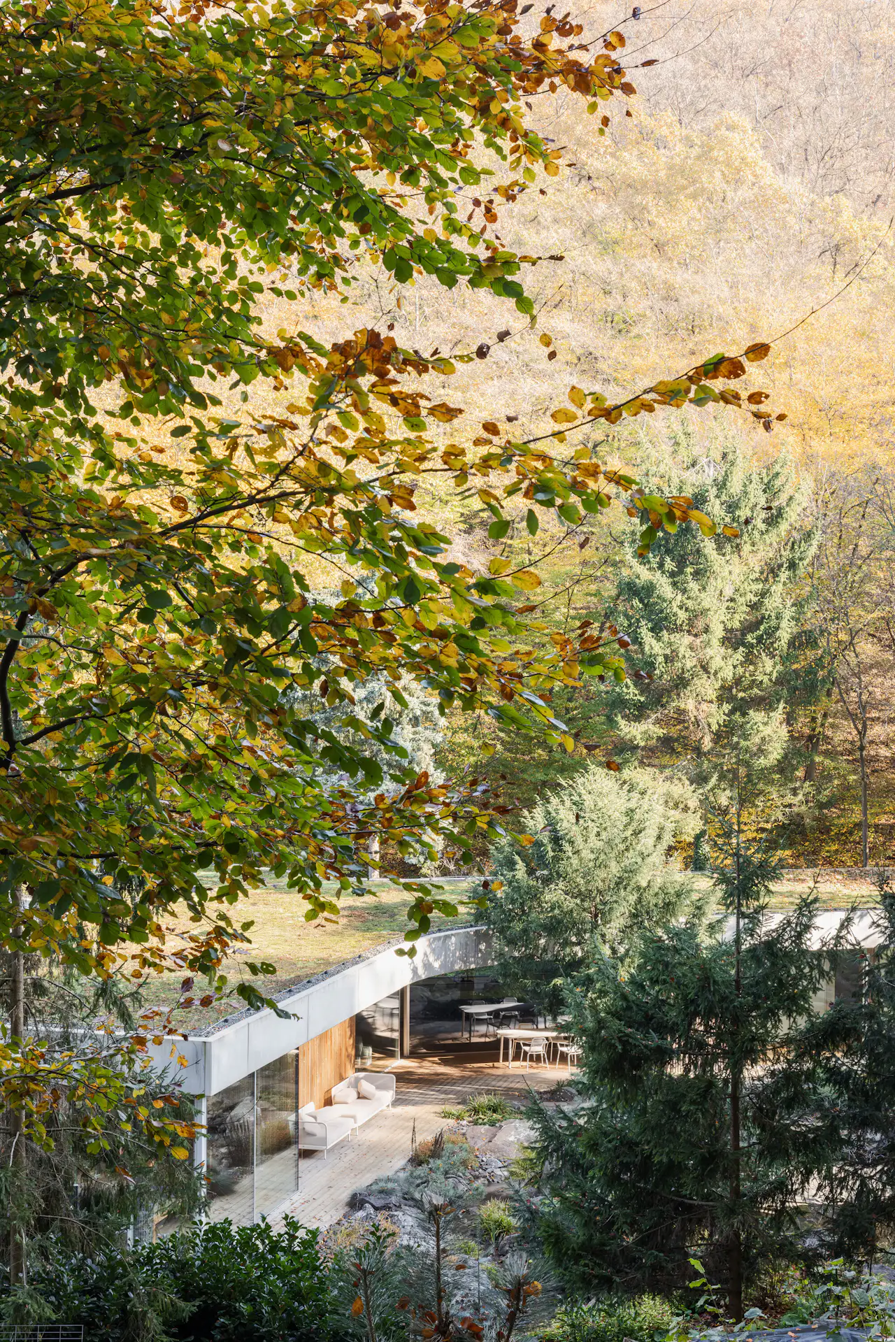 Photo 6 of 18 in Expanses of Glass Immerse This Y-Shaped Home in Its ...