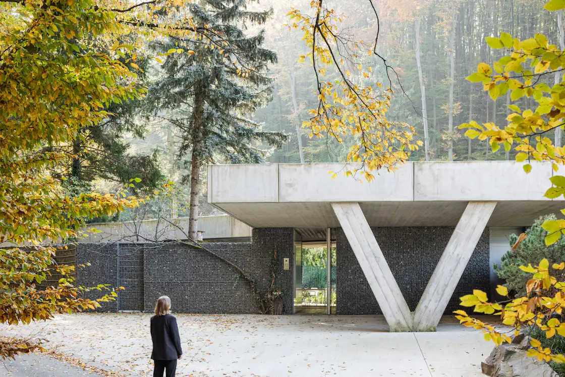 Photo 9 of 18 in Expanses of Glass Immerse This Y-Shaped Home in Its ...