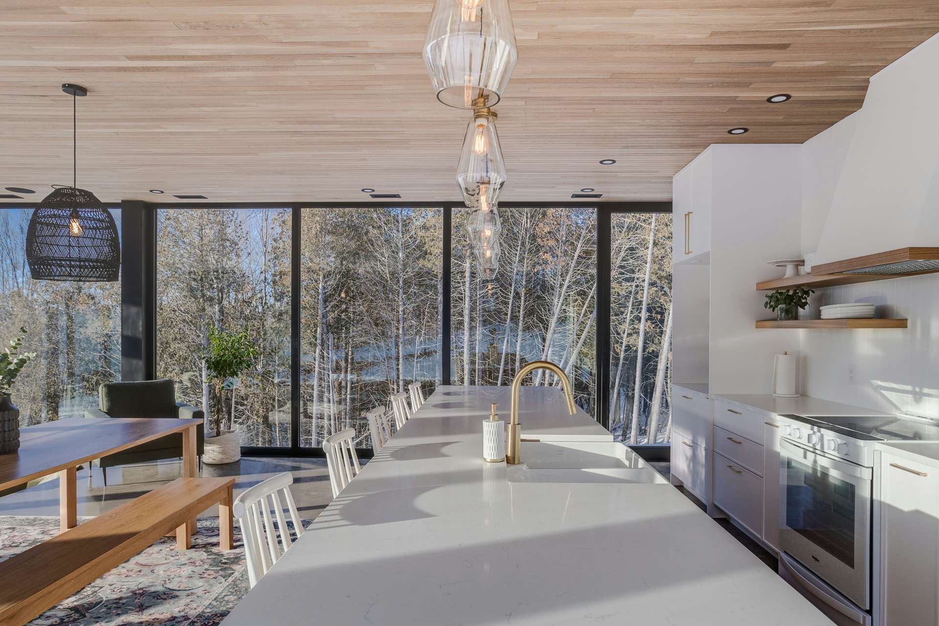 Photo 19 of 44 in The Scandinavian on a Pond by Construction Memphré ...