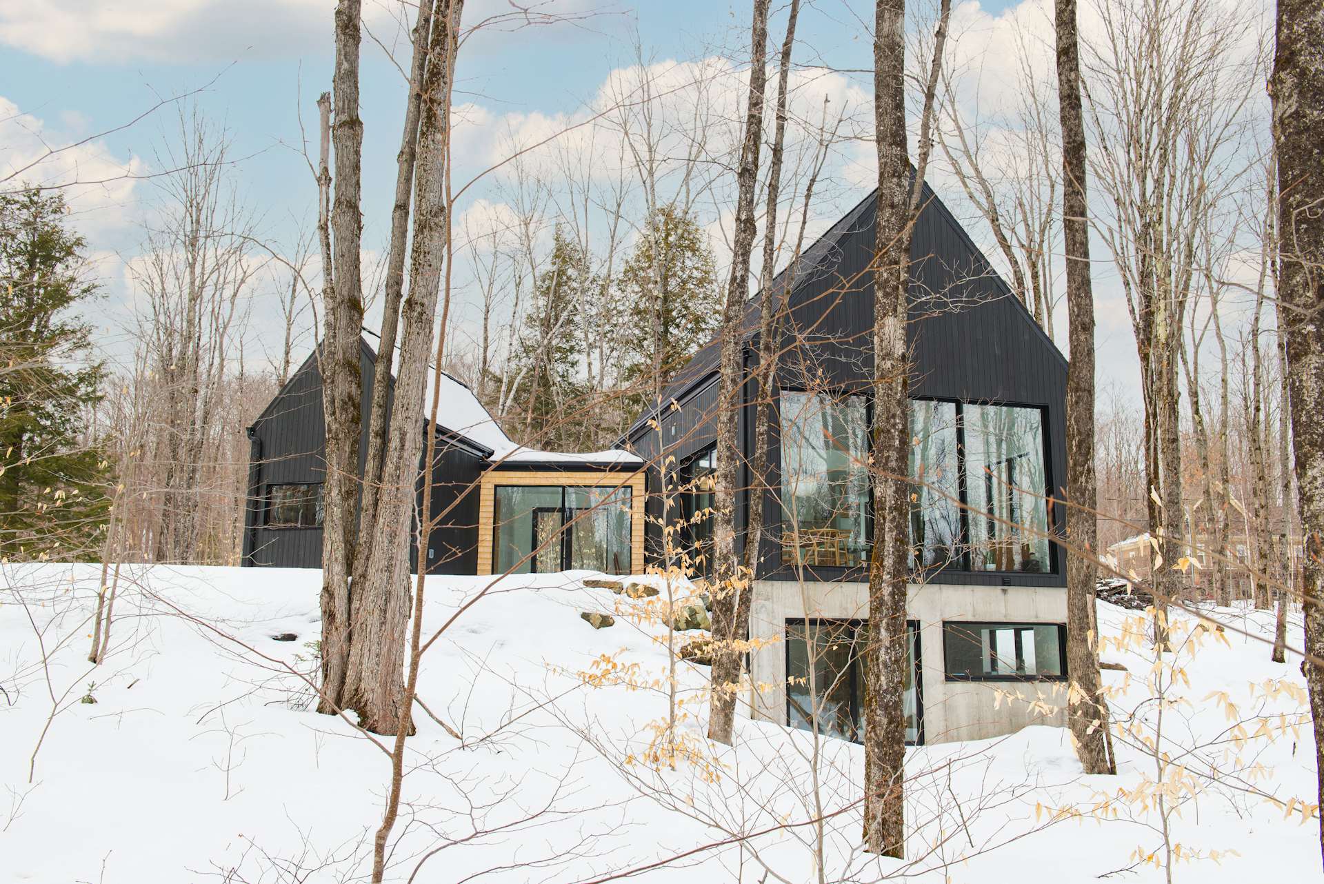 Photo 1 of 50 in In Quebec, a Pair of Black Gables Form a Scandinavian ...