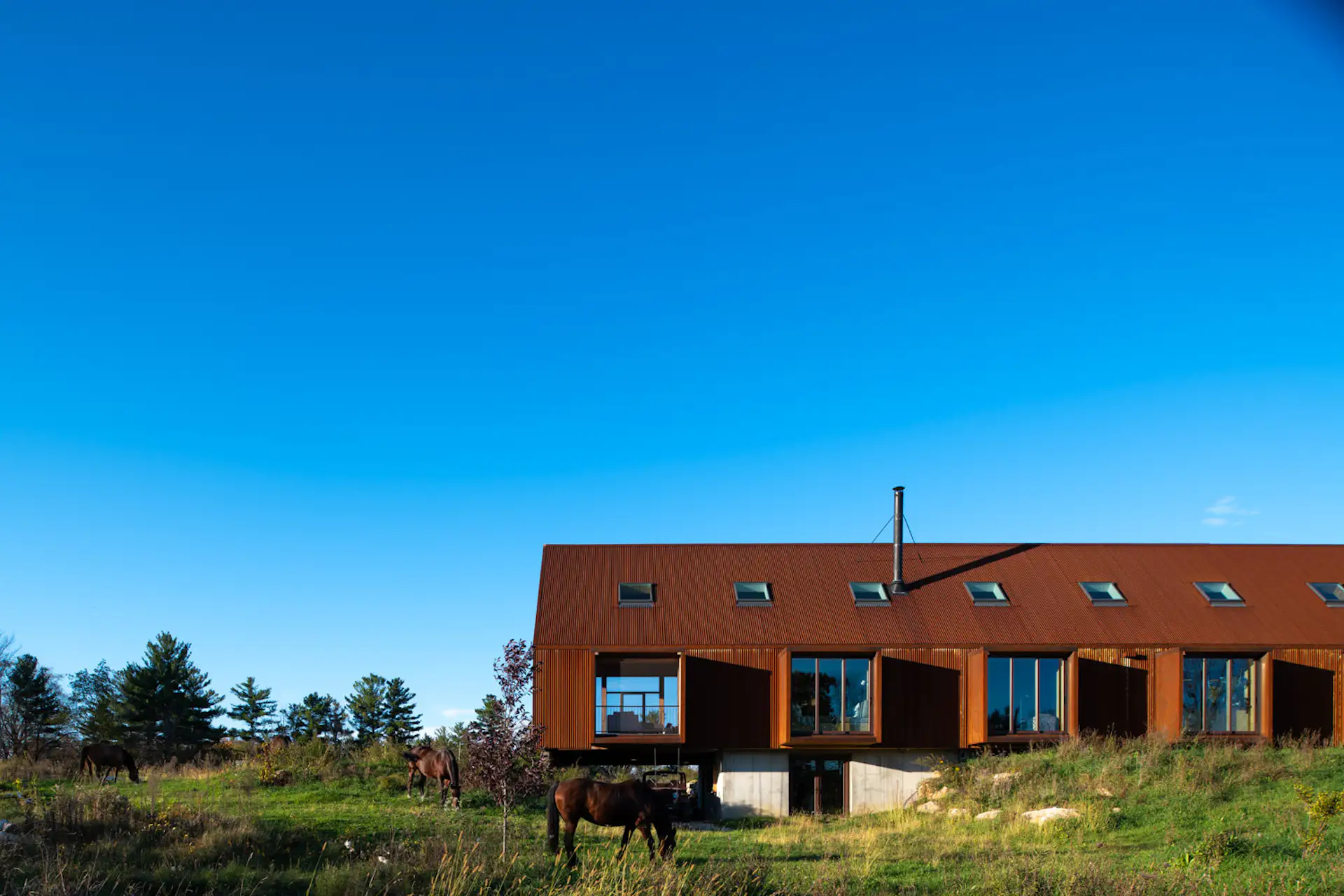 Photo 18 of 25 in The Newman-Stanton House by Michael Morrow - Dwell