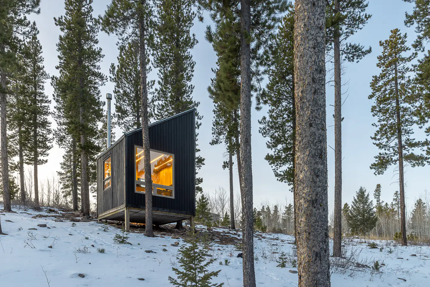 Magnolia Net Zero Carbon Eco Cabin (12 Photos) - Dwell
