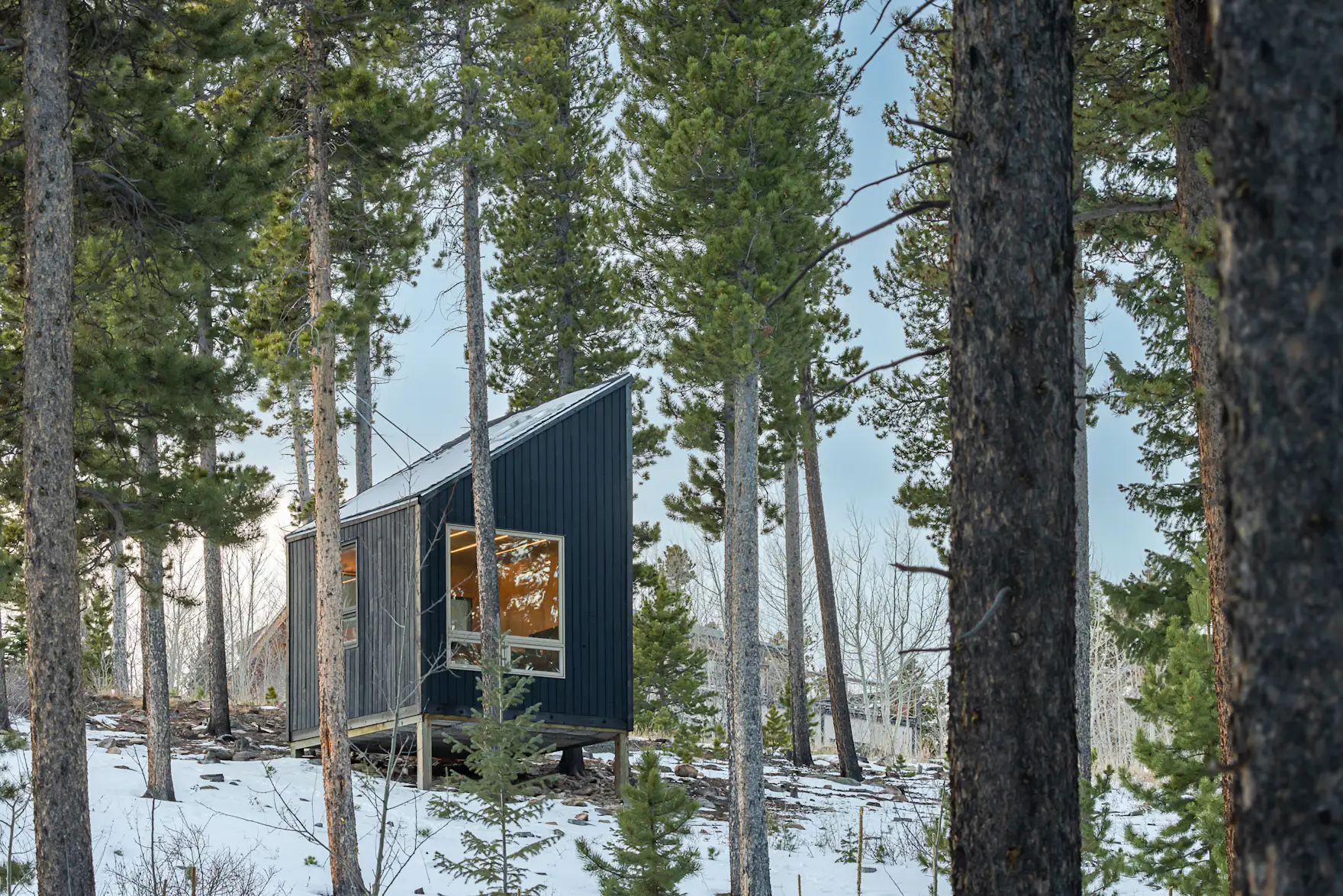 Photo 6 of 12 in Magnolia Net Zero Carbon Eco Cabin by Michael Quirk ...