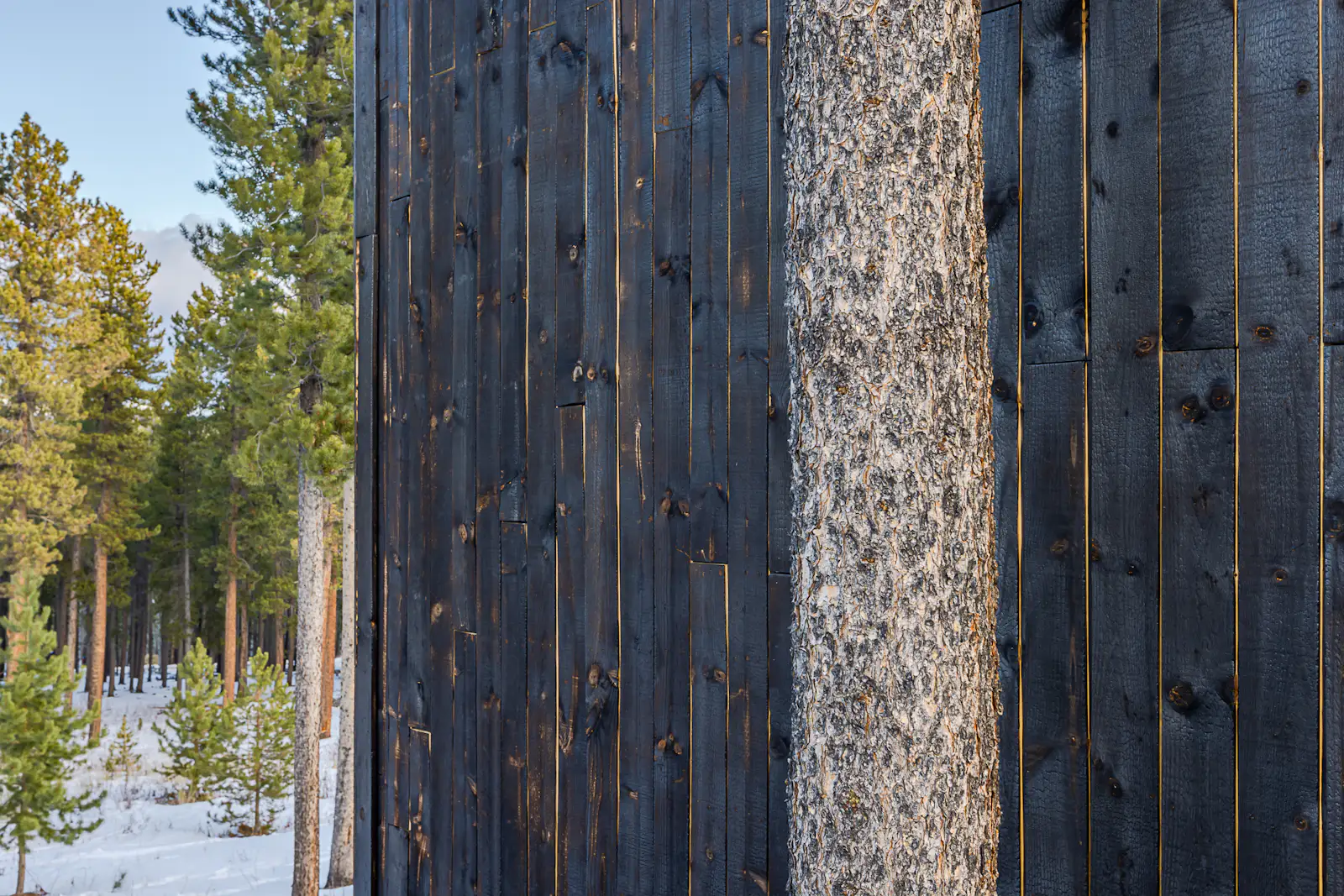 Magnolia Net Zero Carbon Eco Cabin (12 Photos) - Dwell