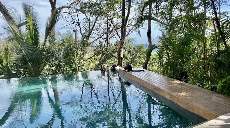 Casa Flotanta - The Floating house (21 Photos) - Dwell