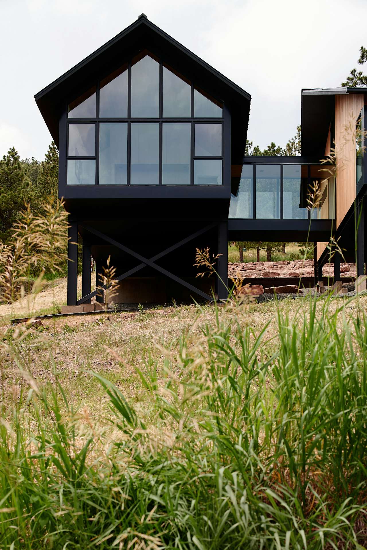 Photo 7 of 13 in Pine Tree Remodel by Follow Architecture - Dwell