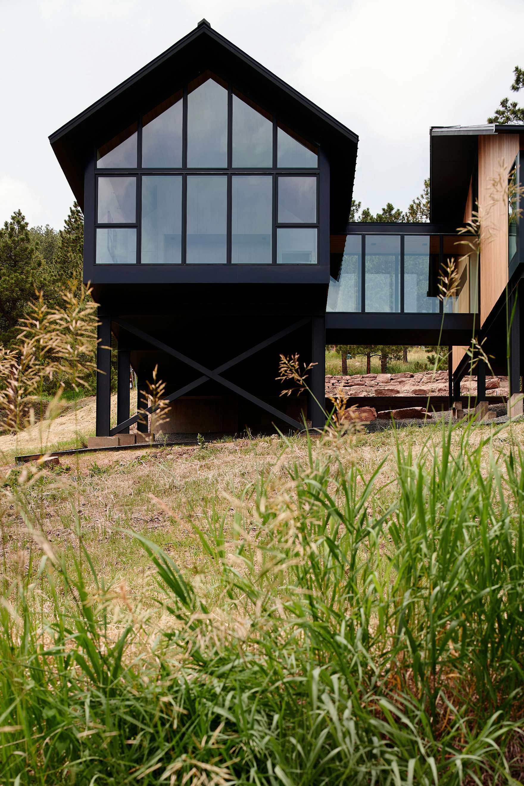 Photo 7 of 13 in Pine Tree Remodel by Follow Architecture - Dwell