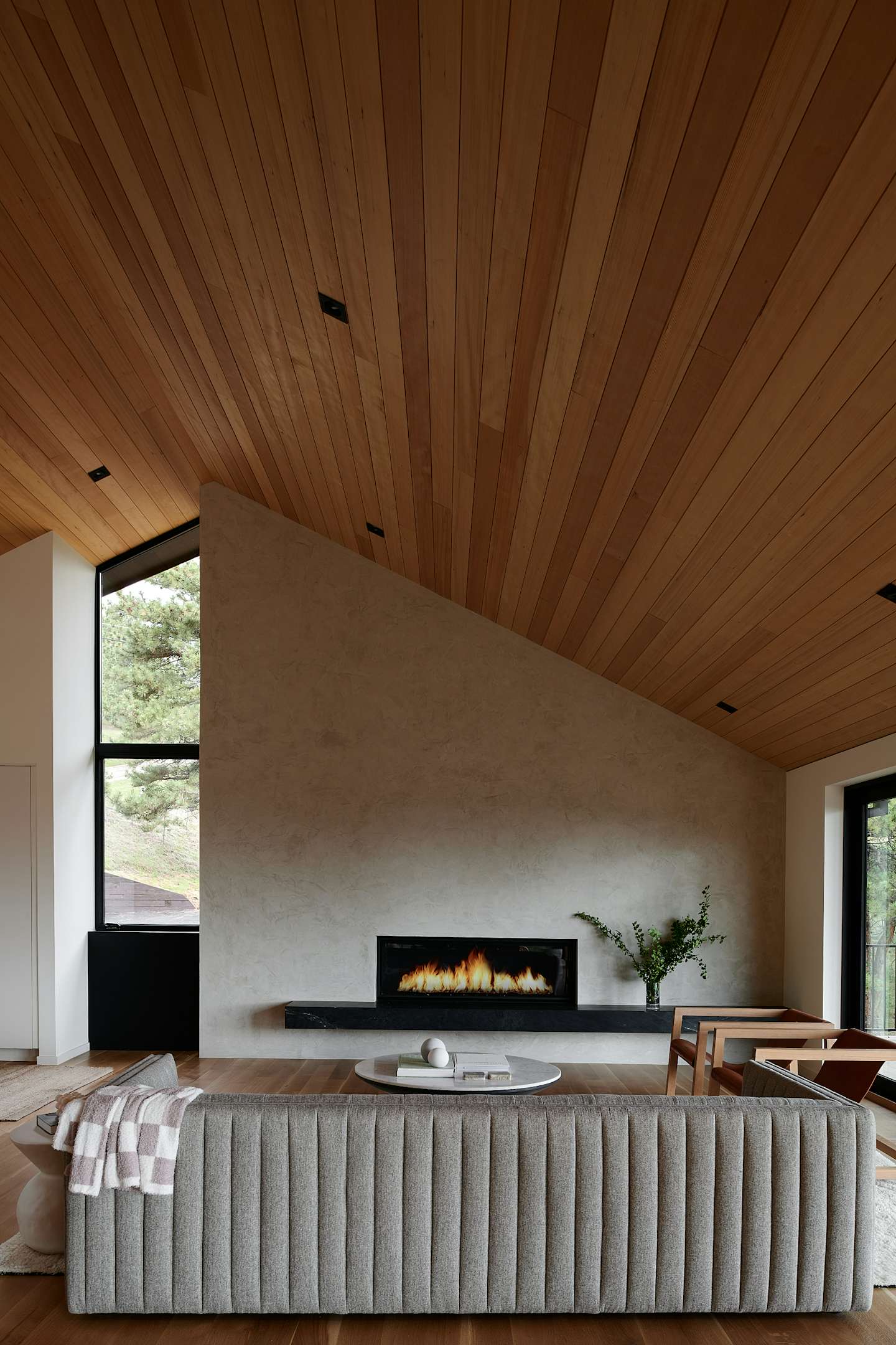 Photo 9 of 13 in Pine Tree Remodel by Follow Architecture - Dwell